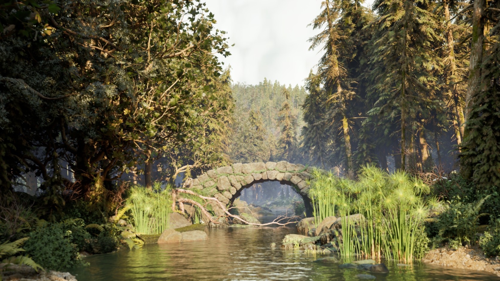 Black Forest PCG Environment | Barrel & Bark Interactive